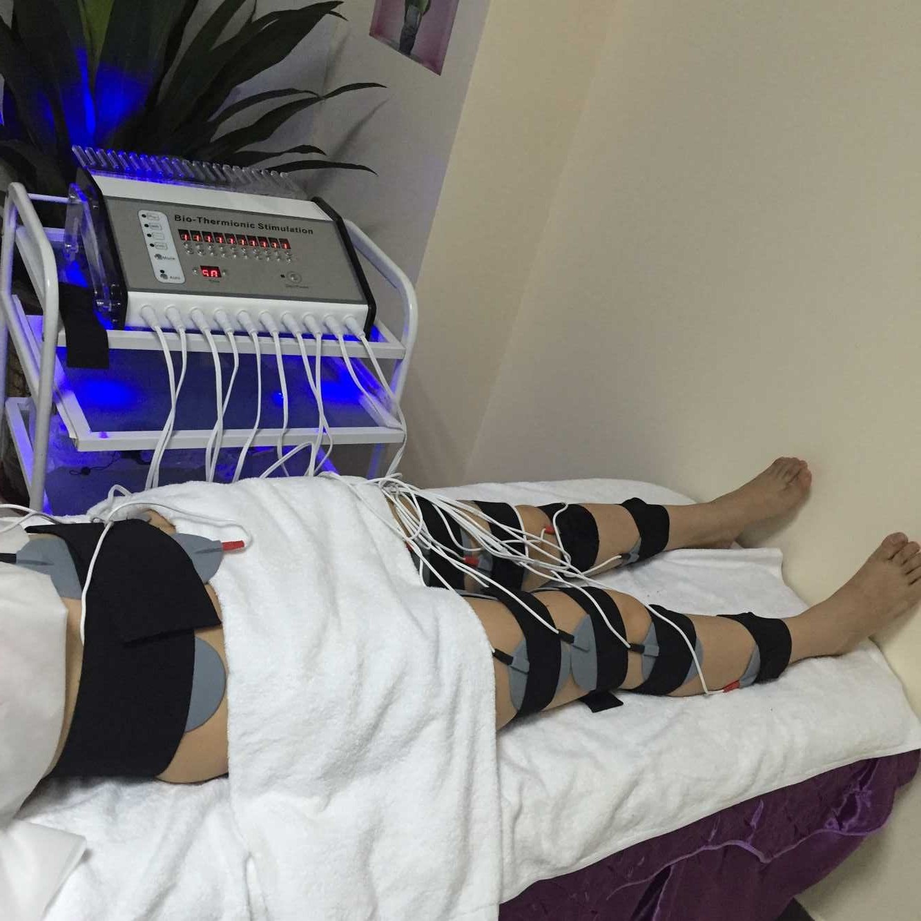 portable ems machine BL-EMS01 - Buy portable ems machine, ems fitness ...