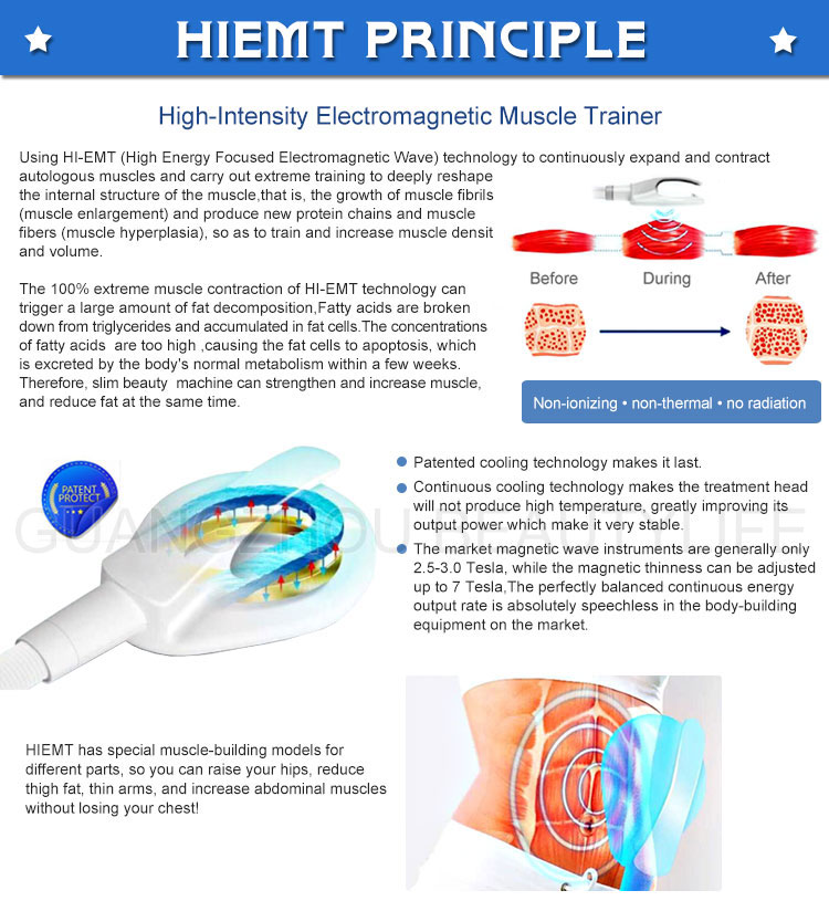 HIEMT PRO body sculpting muscle strength machine EMS8 - Buy HIEMT body ...